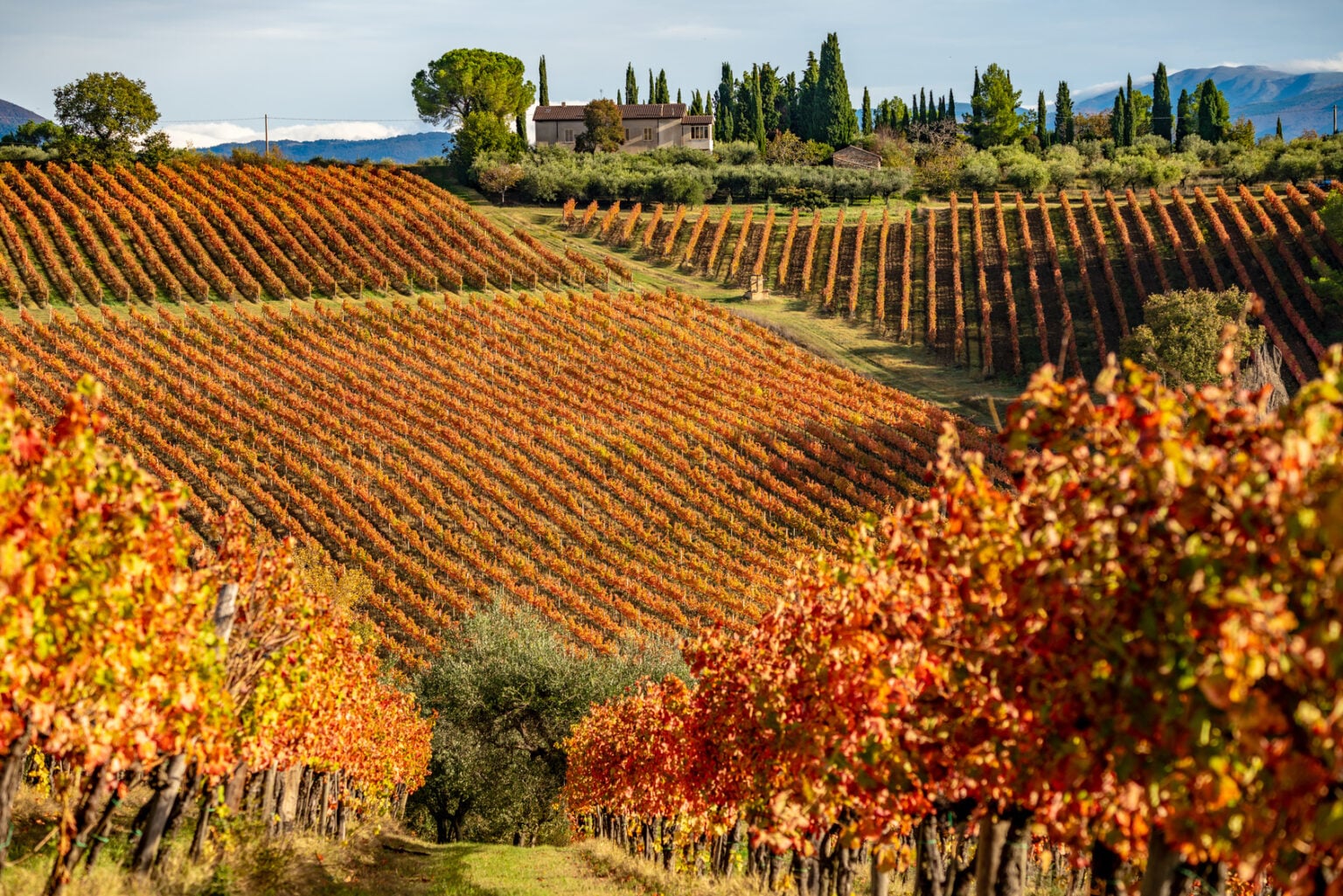 The Sagra - Savoring Italy’s Food Festivals - Italy Perfect Travel Blog ...