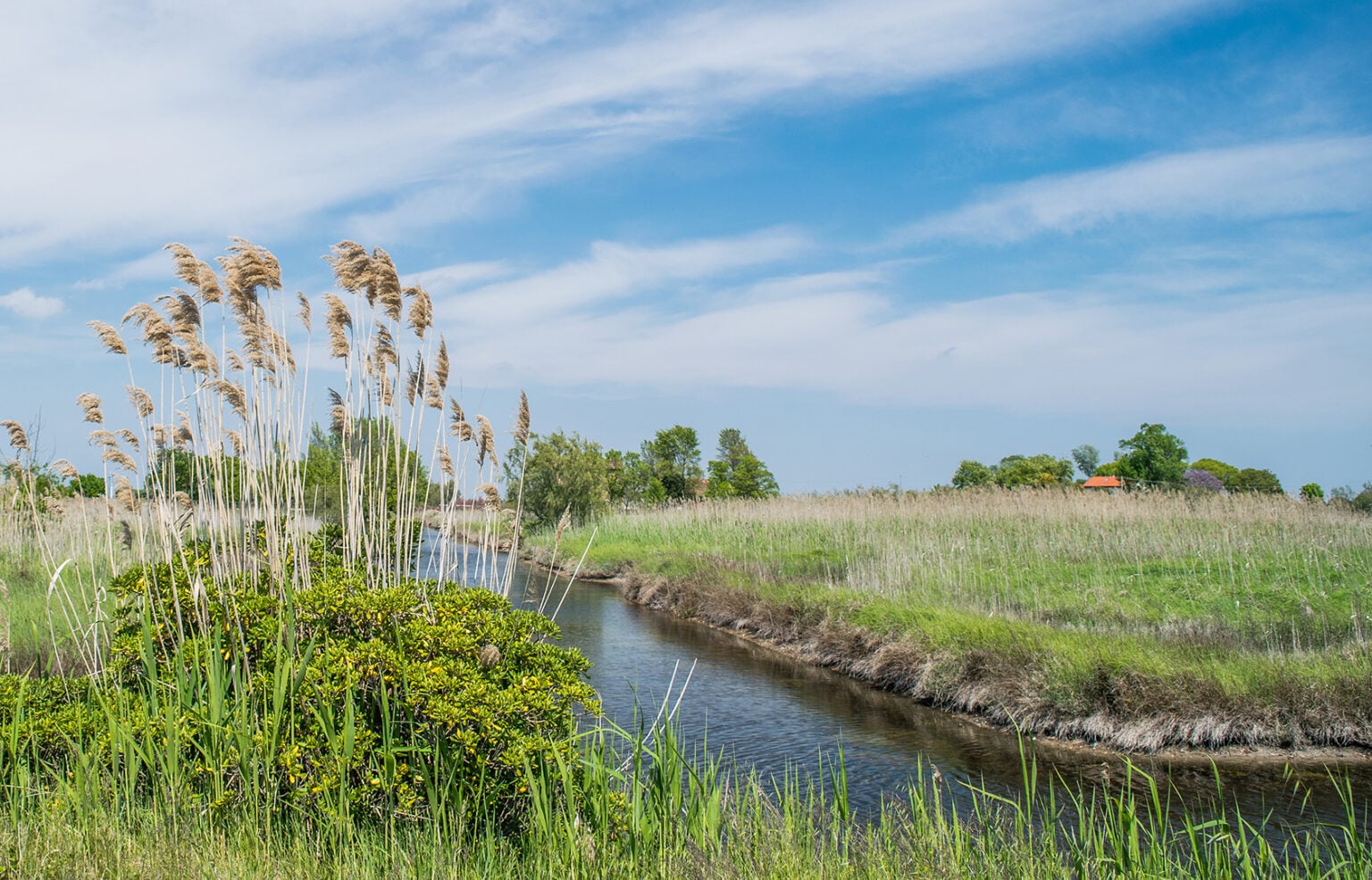 Island Hopping in the Venetian Lagoon - Italy Perfect Travel Blog